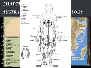Australopithecines | PPTX