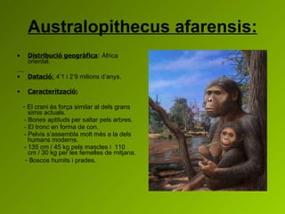 Australopithecus | PPT