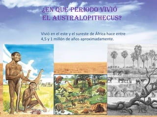 Australopithecus | PPTX