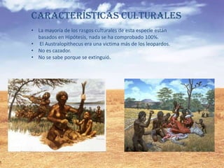 Australopithecus | PPTX