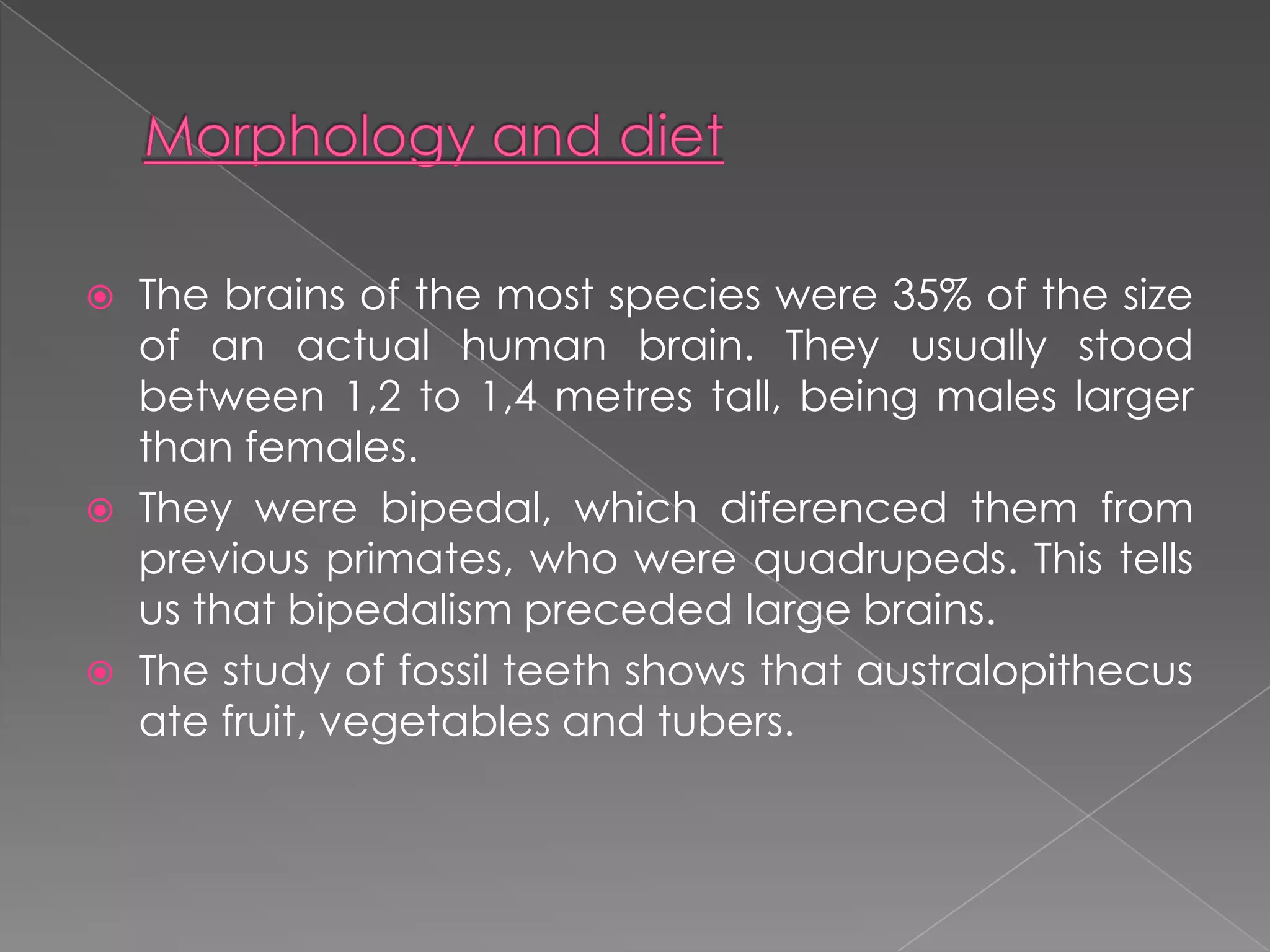 Australopithecus | PPTX