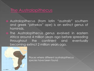 Australopithecus | PPTX