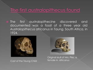 Australopithecus | PPTX