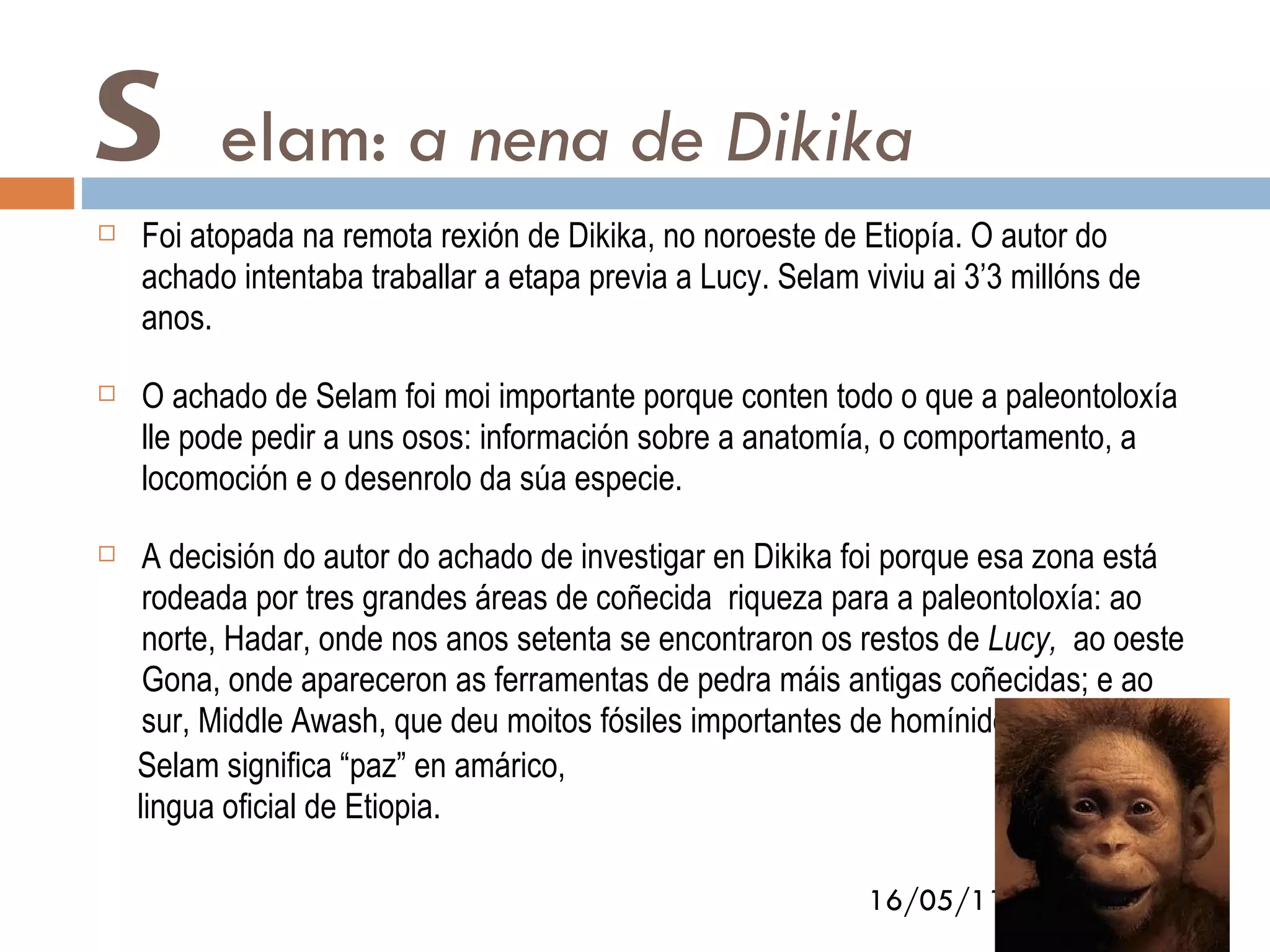 Australopithecus afarensis lorena | PPT