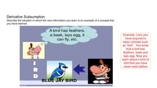 Ausubel's theory | PPTX