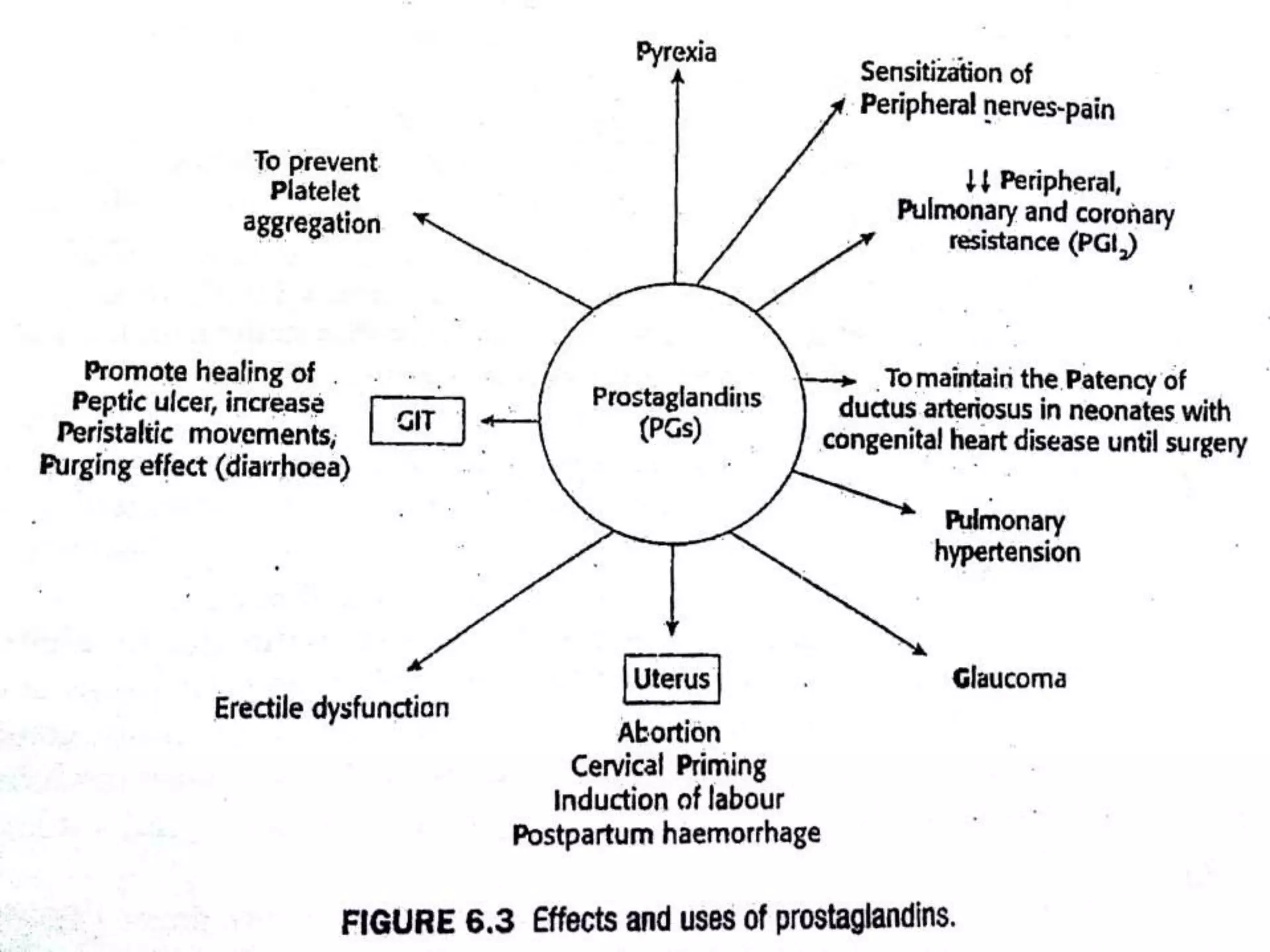 Autacoids - pharmacological actions and drugs related to them. | PPTX