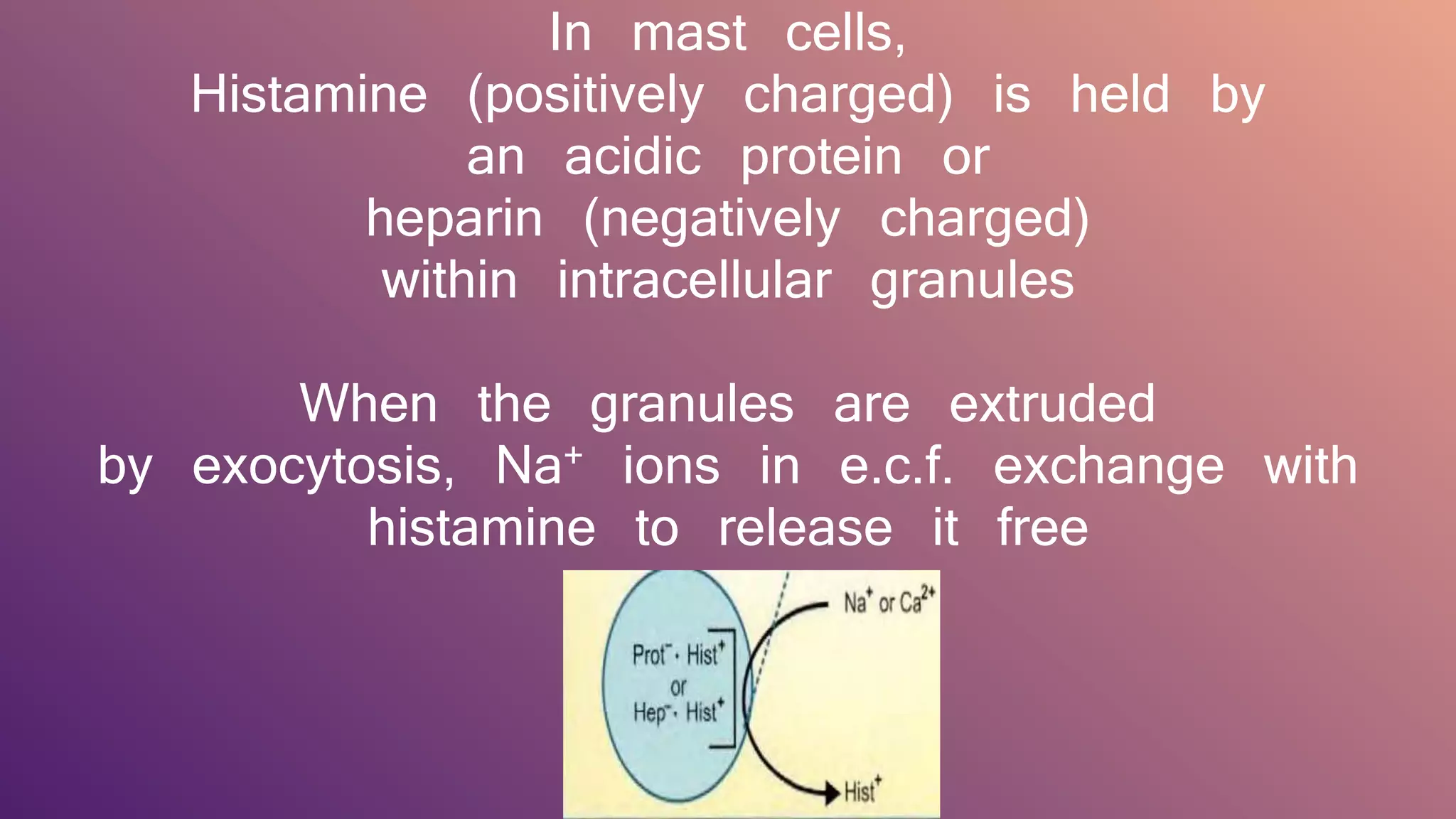 Histamine: Turnover, Release and Receptor | PPTX