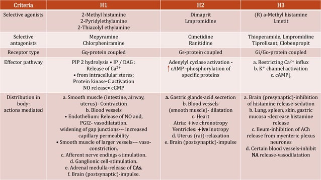 Histamine: Turnover, Release and Receptor | PPTX | Allergies | Diseases and Conditions