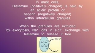 Histamine: Turnover, Release and Receptor | PPTX