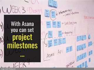 [Easy] How to use Asana for Beginners | PDF