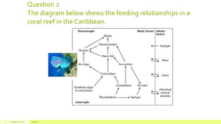 Authentic learning task | PPTX | Environment | Science