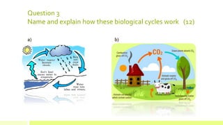 Authentic learning task | PPTX | Environment | Science