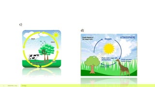 Authentic learning task | PPTX | Environment | Science