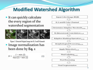 Segmentation of Color Image using Adaptive Thresholding and Masking ...