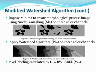 Segmentation of Color Image using Adaptive Thresholding and Masking ...
