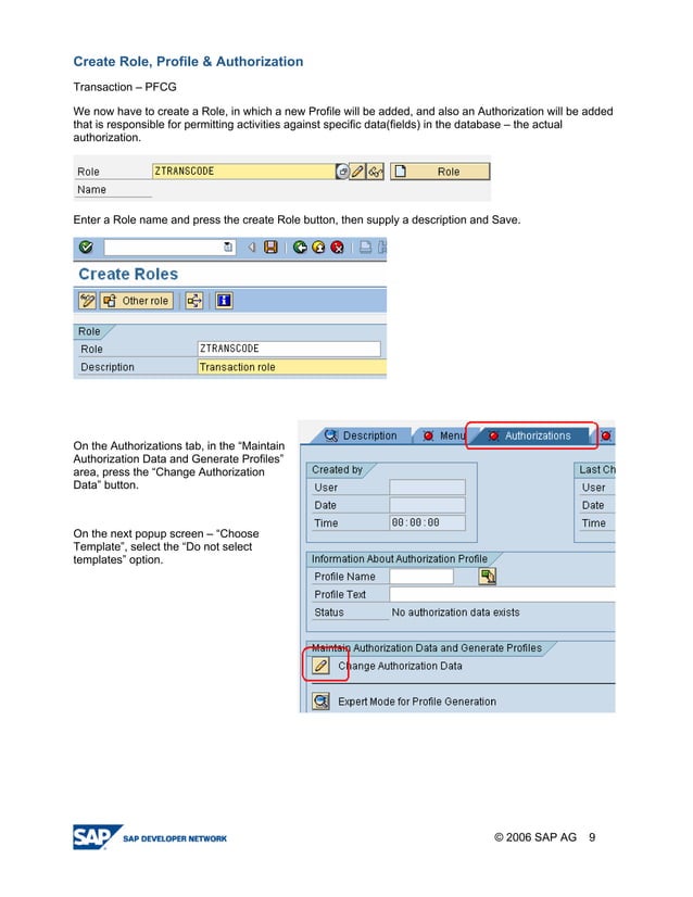 Authorization objects a simple guide | PDF | Databases | Computer Software and Applications