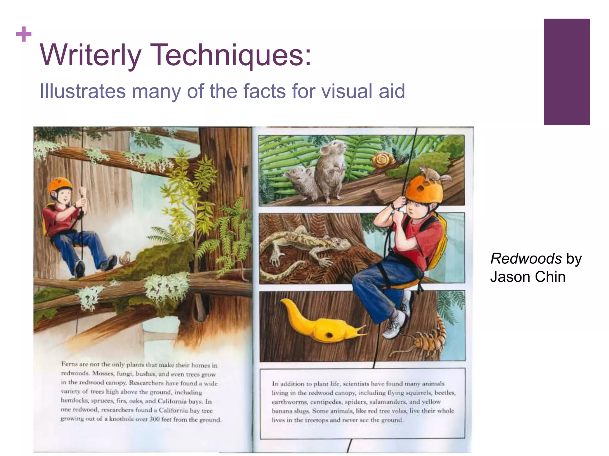 Author study jason chin | PPTX