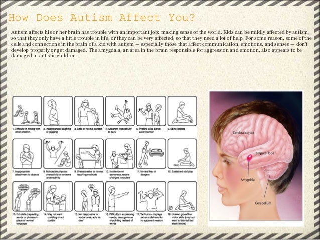 Autism 2 Autism 2