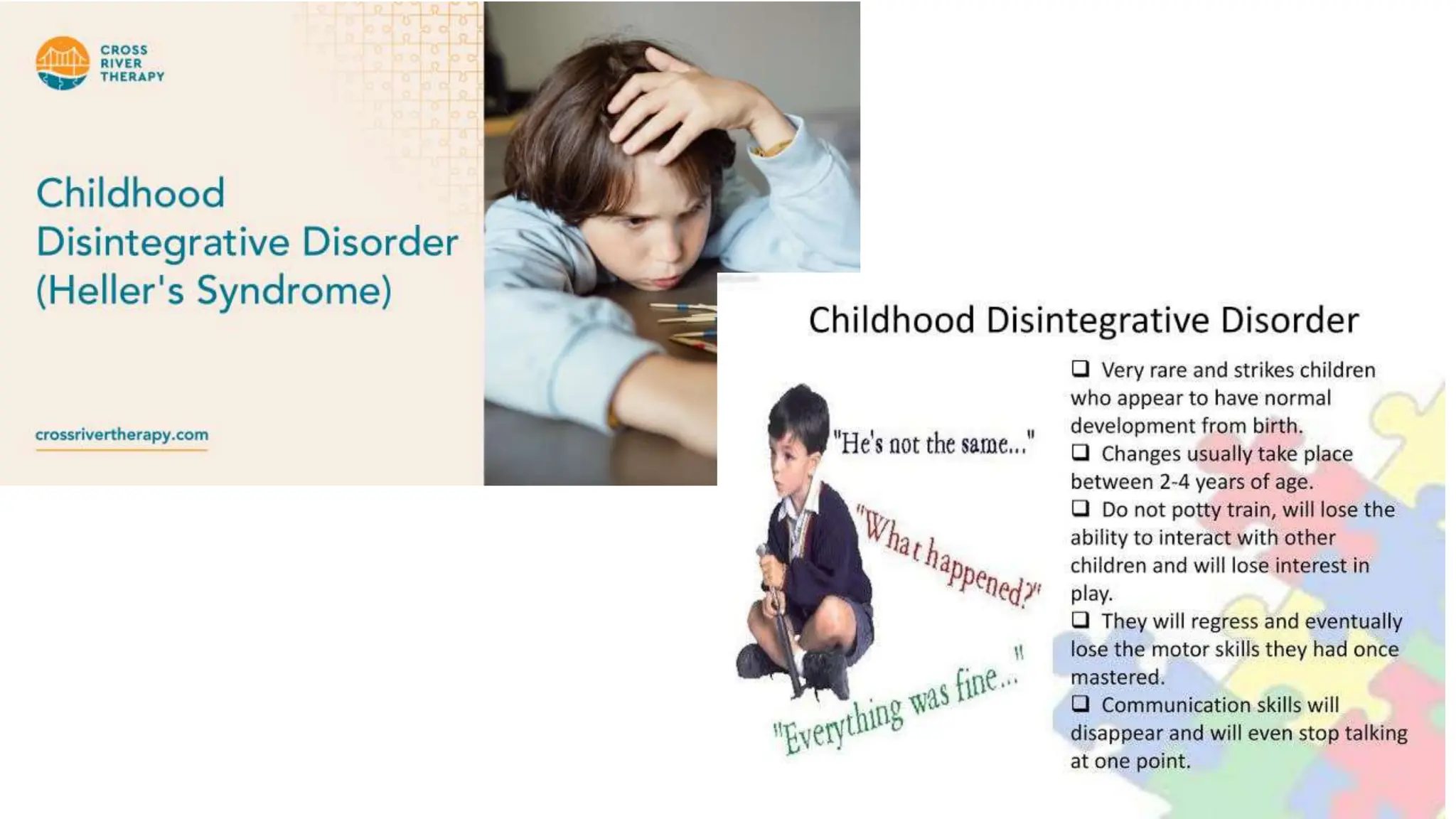 autism spectrum disorder and types of autism | PPTX