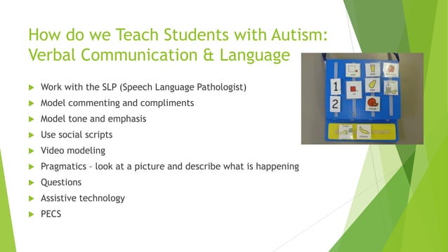 Session #24: Autism 101 Handouts | PDF