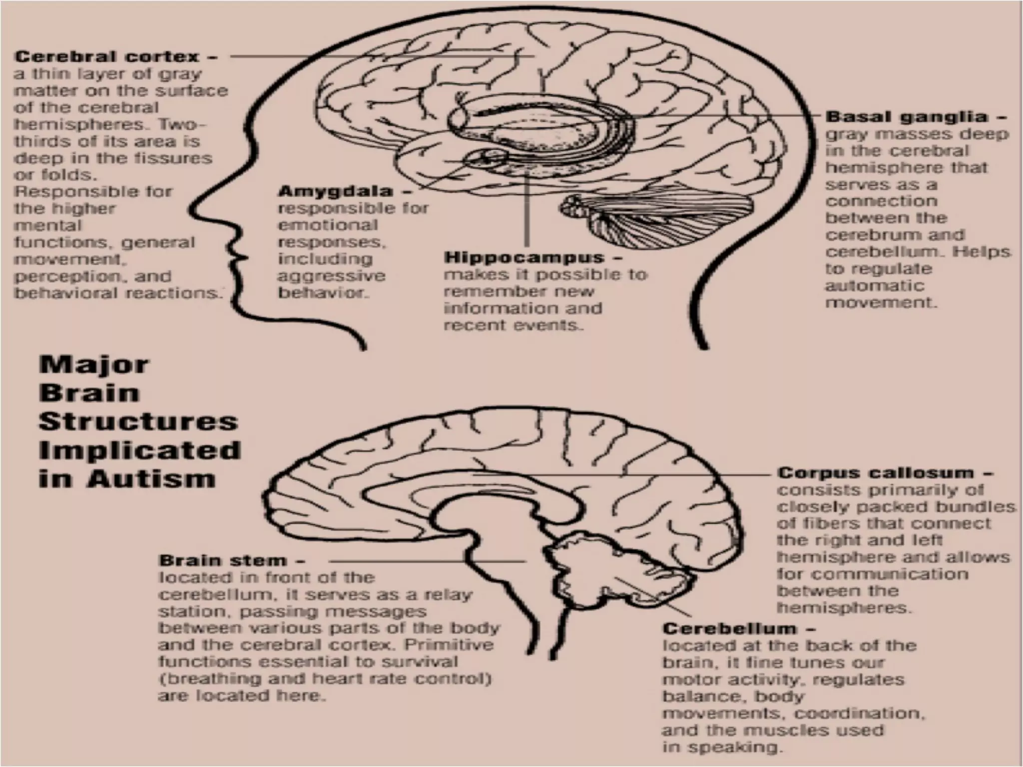 Autism and asperger’s syndrome | PPT