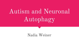 Macroautophagy Causes Synaptic Pruning Deficits | PPT