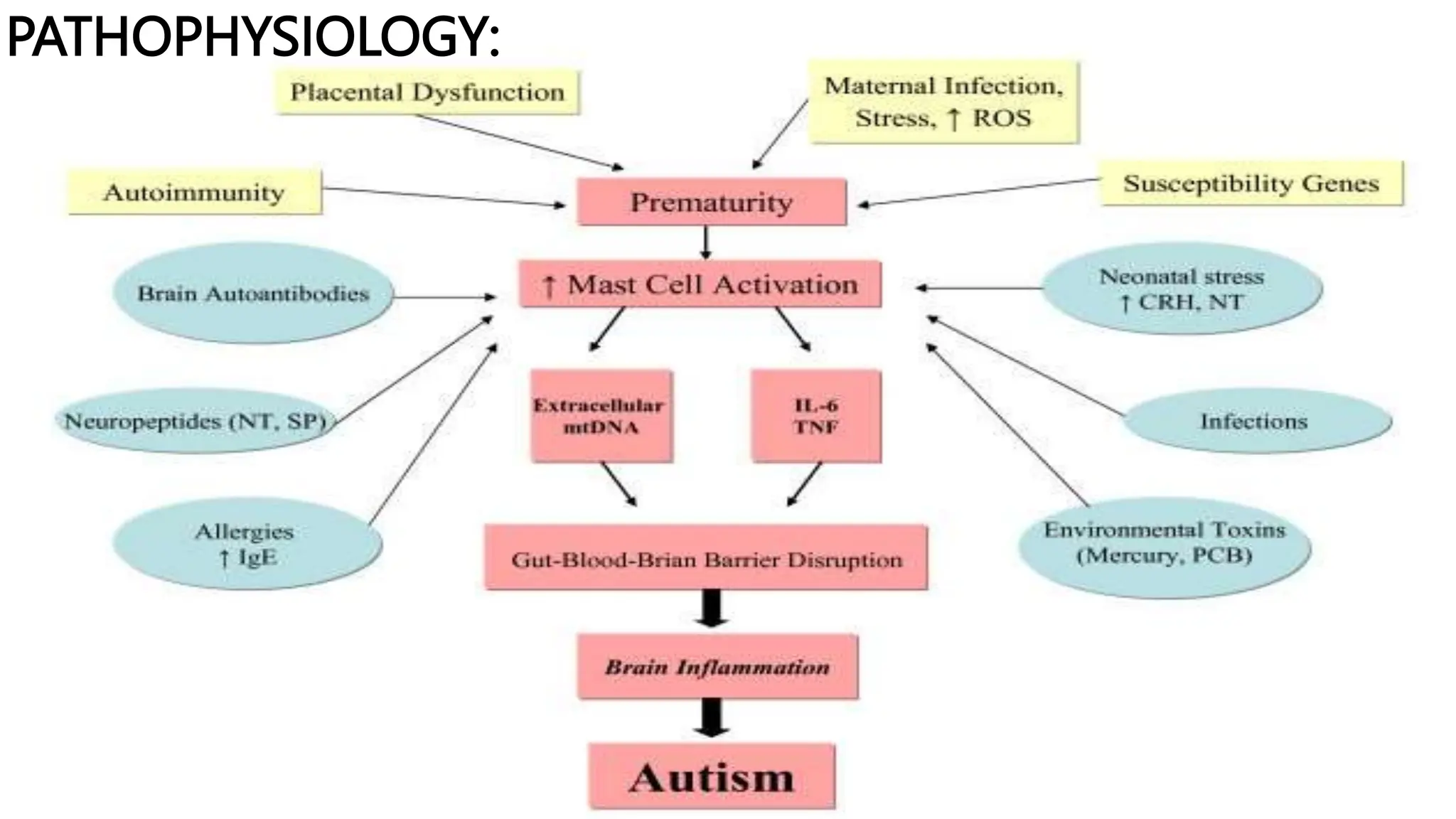 AUTISM SPECTRUM DISORDER: DEFINITION, ETIOLOGY, PATHOPHYSIOLOGY ...