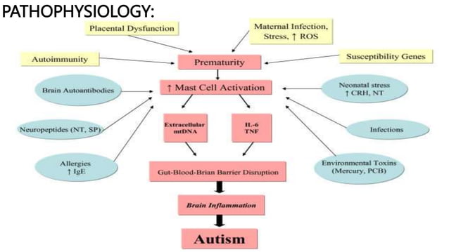 AUTISM SPECTRUM DISORDER: DEFINITION, ETIOLOGY, PATHOPHYSIOLOGY ...