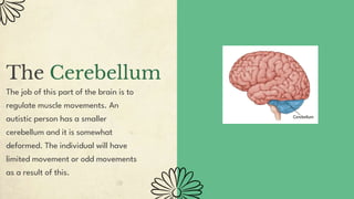 Neurobiology: Autism | PPTX