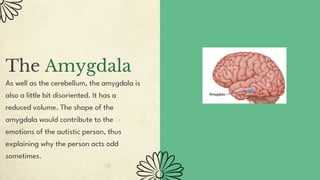 Neurobiology: Autism | PPTX