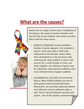 Autismproject | DOCX