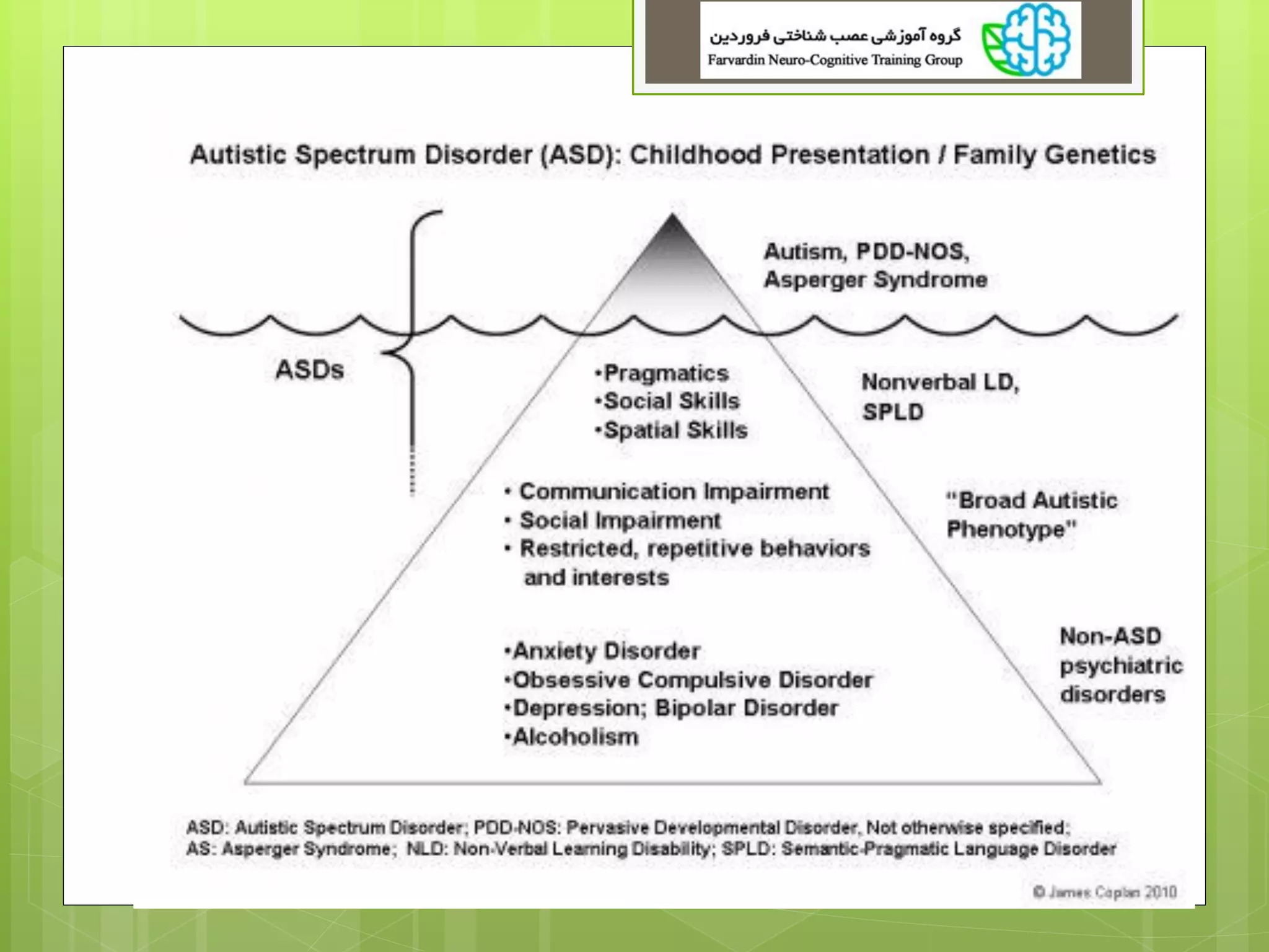 Autism spectrum disorder: definitions and theories | PDF