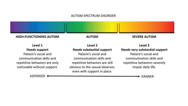 Autism Spectrum Disorder.pdf