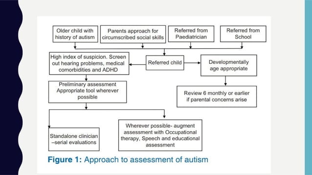 Autism spectrum disorders and other neurodevelopmental disorders | PPTX