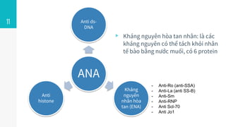 Autoantibodies in-sle | PPTX