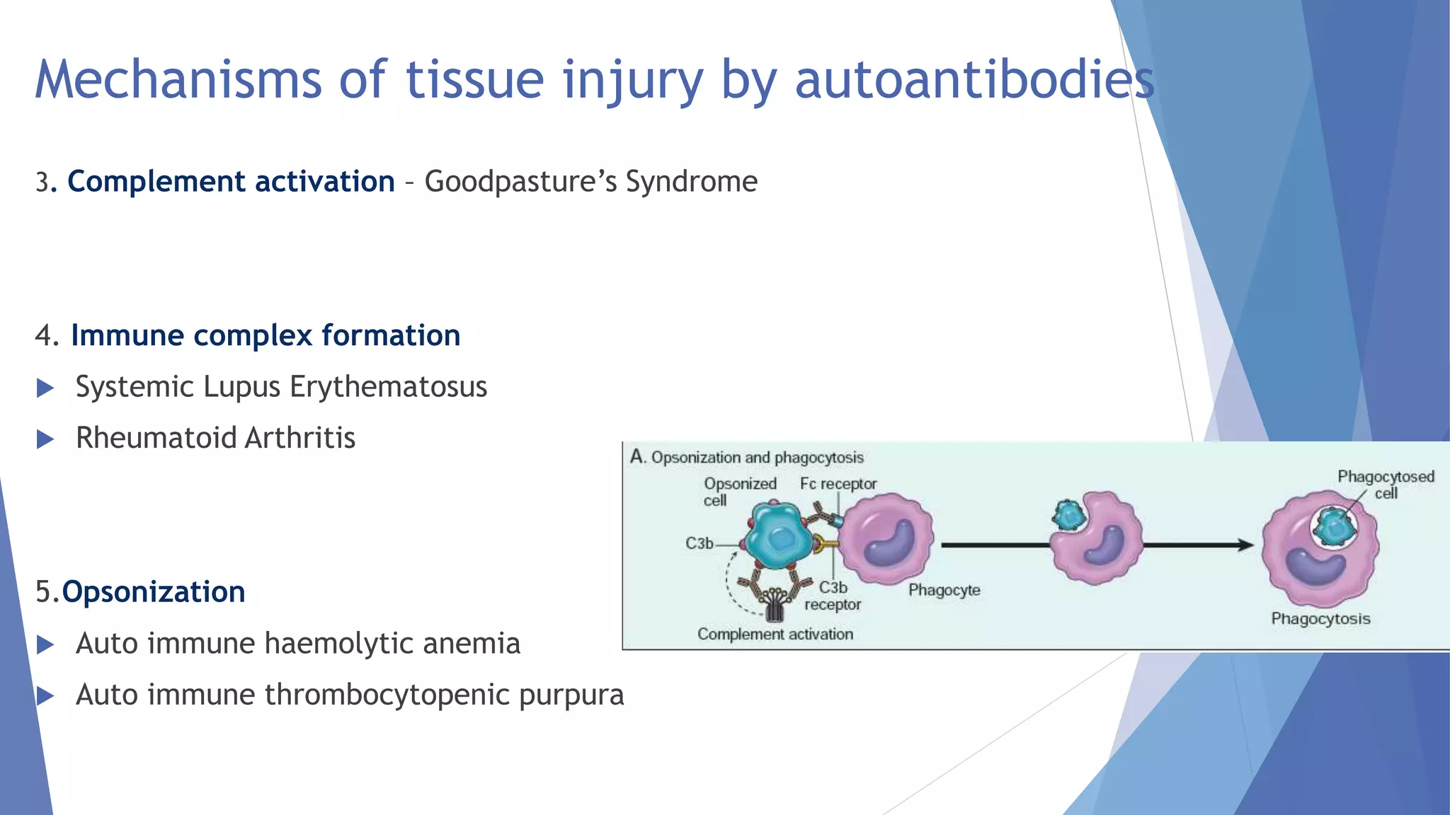 Autoantibody testing in CTD.pptx