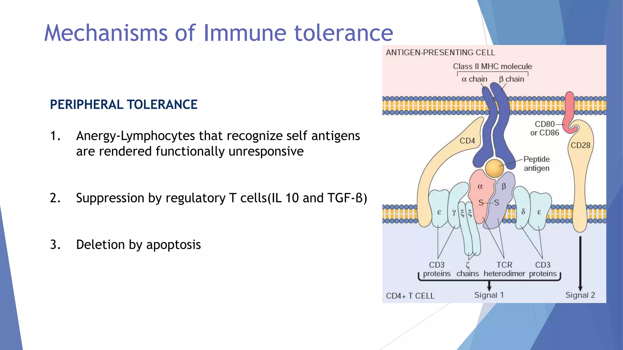Autoantibody testing in CTD.pptx