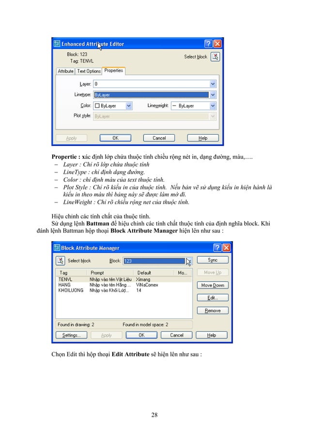 Autocad nâng cao và lập trình trong Autocad | PDF