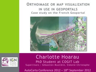 Orthoimage or map visualization in use in geoportals - Case Study on ...