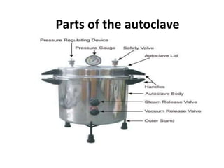 Autoclave.pptx