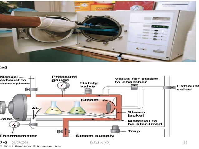 Autoclave: Principle and components of autoclave .pptx | Home Appliances | Home & Garden
