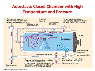 Autoclave: Principle and components of autoclave .pptx