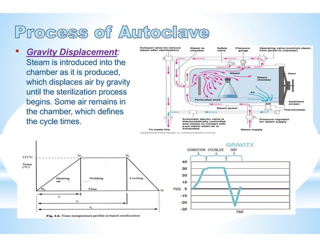 Autoclaves | PDF | Chemistry | Science