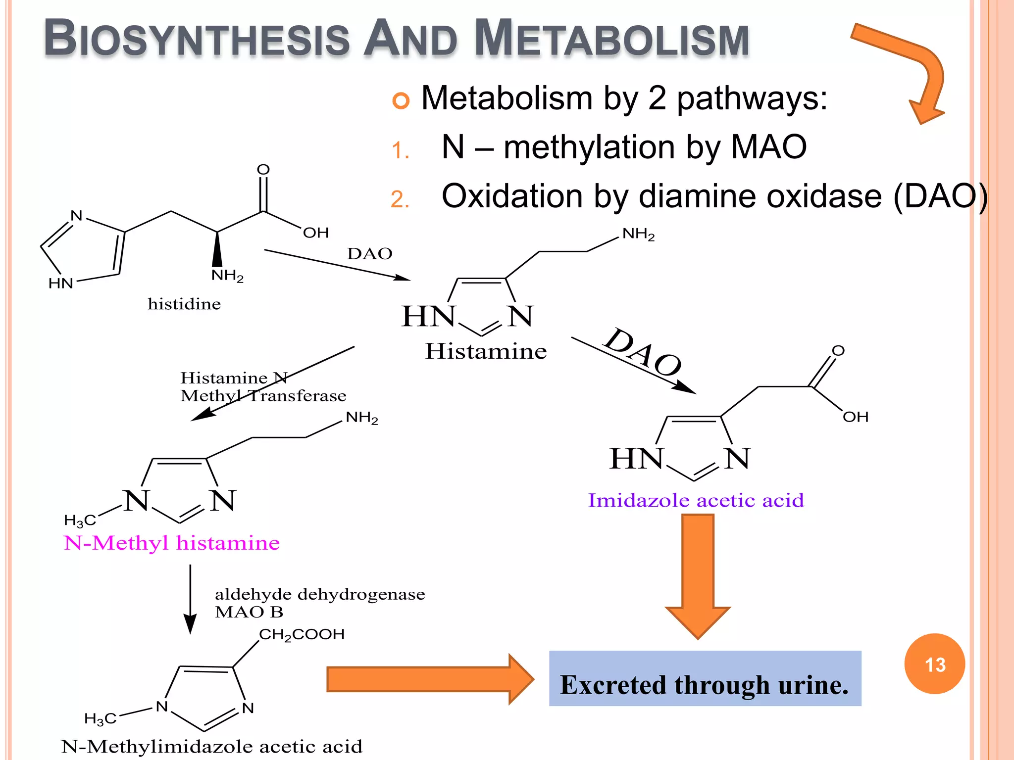 Autacoids And Histamines | PPTX