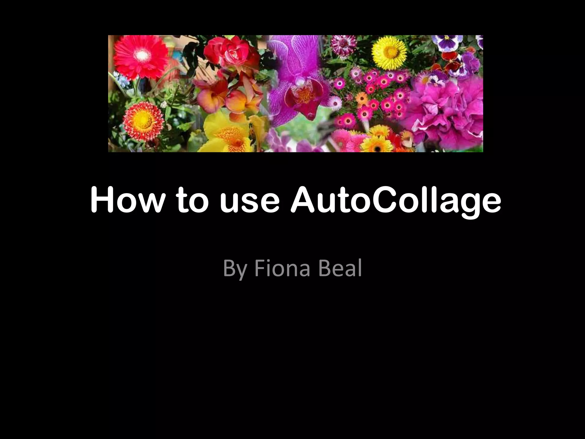 How to use Autocollage | PPTX