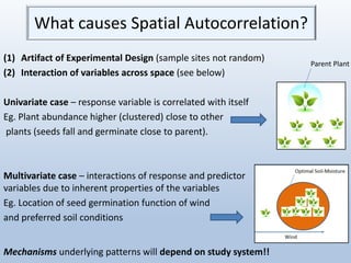 Autocorrelation_kriging_techniques for Hydrology | PPT