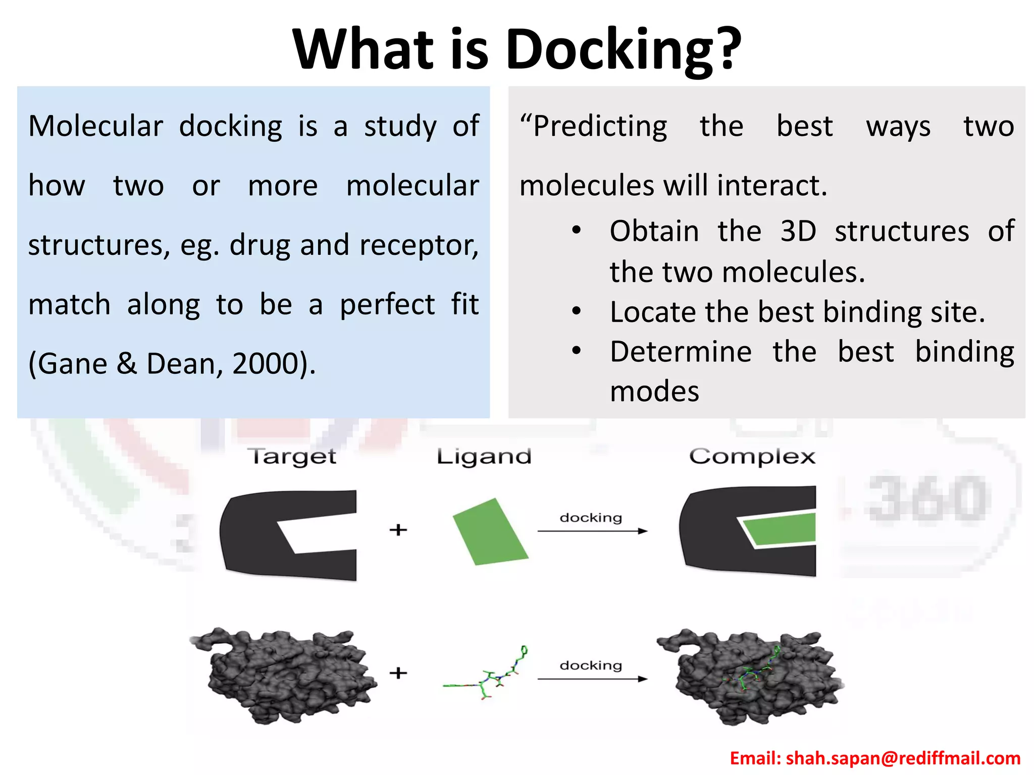 Molecular Docking Using Autodock | PDF
