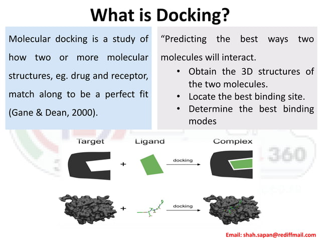 Molecular Docking Using Autodock | PDF | Chemistry | Science