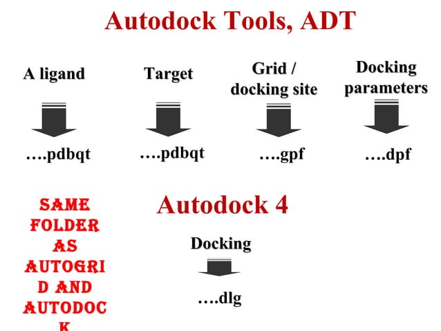 Molecular Docking Using Autodock 4 2 6 Ppt