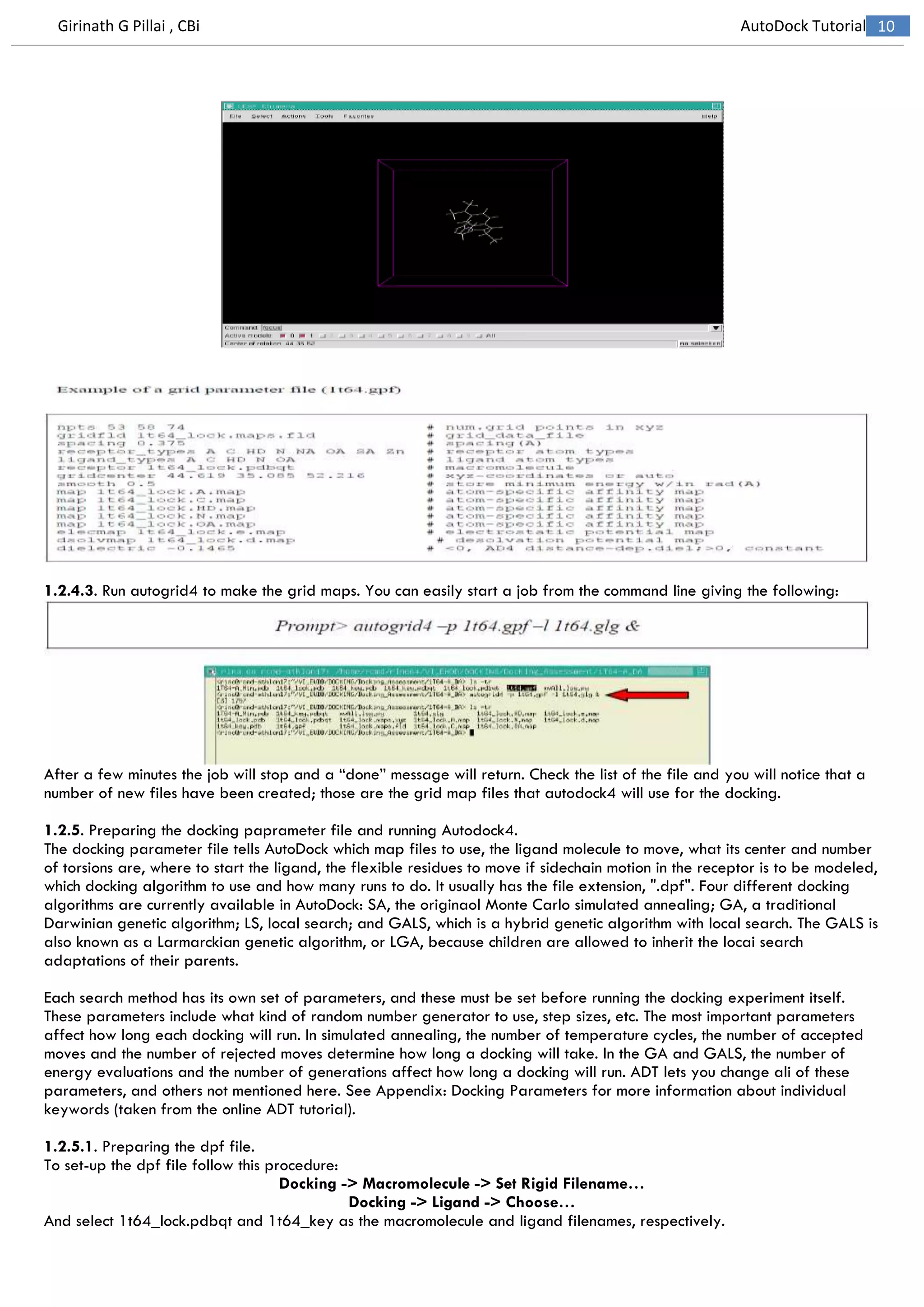 Autodock Made Easy with MGL Tools - Molecular Docking | PDF | Chemistry | Science
